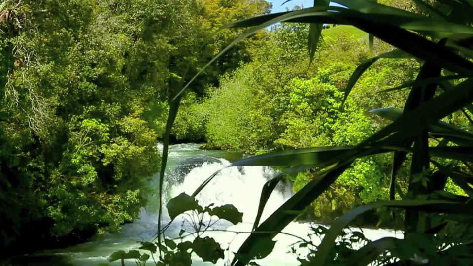 Trout Pool Falls on Vimeo
