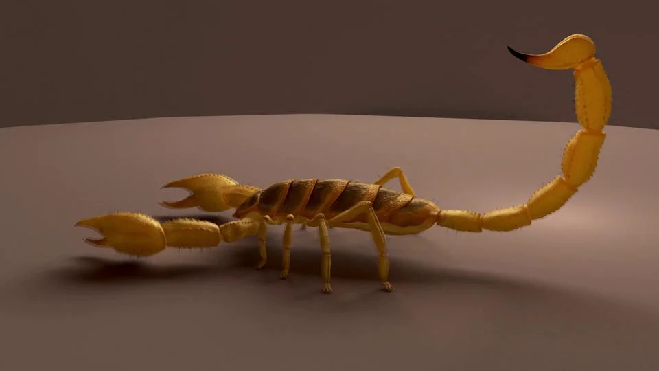 Scorpion Texturing and Shading - Specialist Tool Project (NCCA) on Vimeo