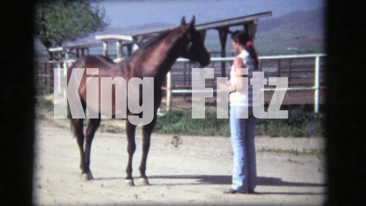 Project 8 mm: King Fritz 1956 - 1975 on Vimeo