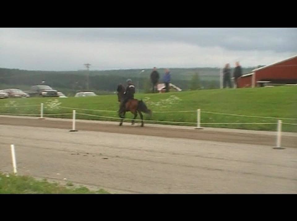 Mökkvi från Åleby on Vimeo