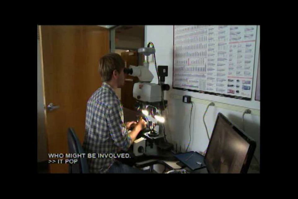 Crime Lab - San Diego County Sheriff's Department | Videos & Movies on ...