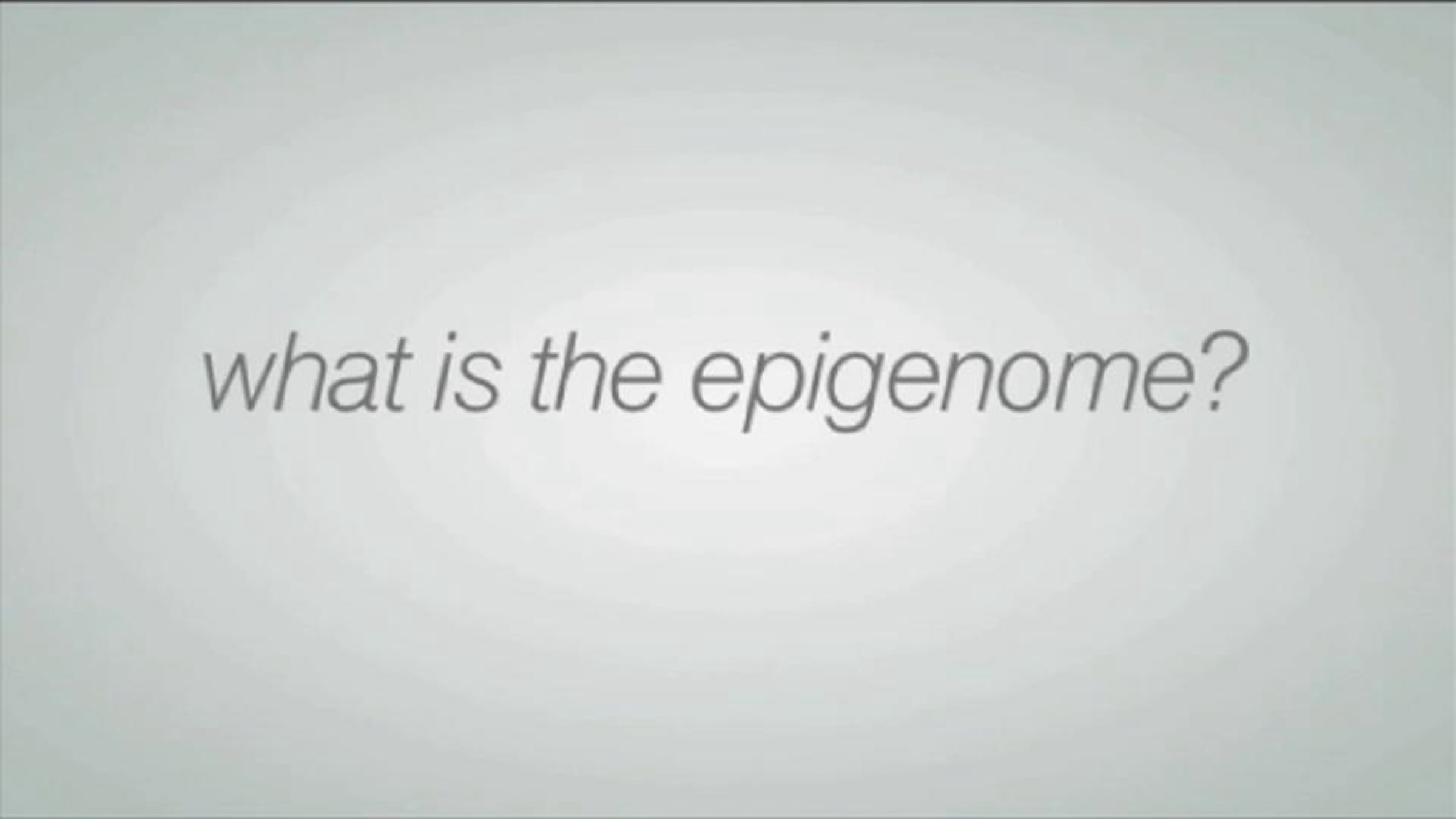 The Epigenome at a Glance
