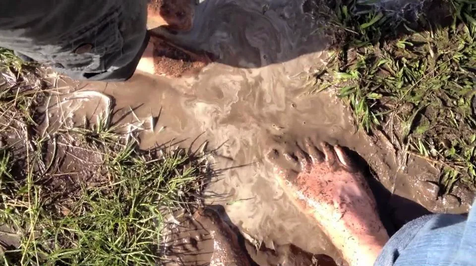 Nature Play Day Canada - Mud Puddle on Vimeo