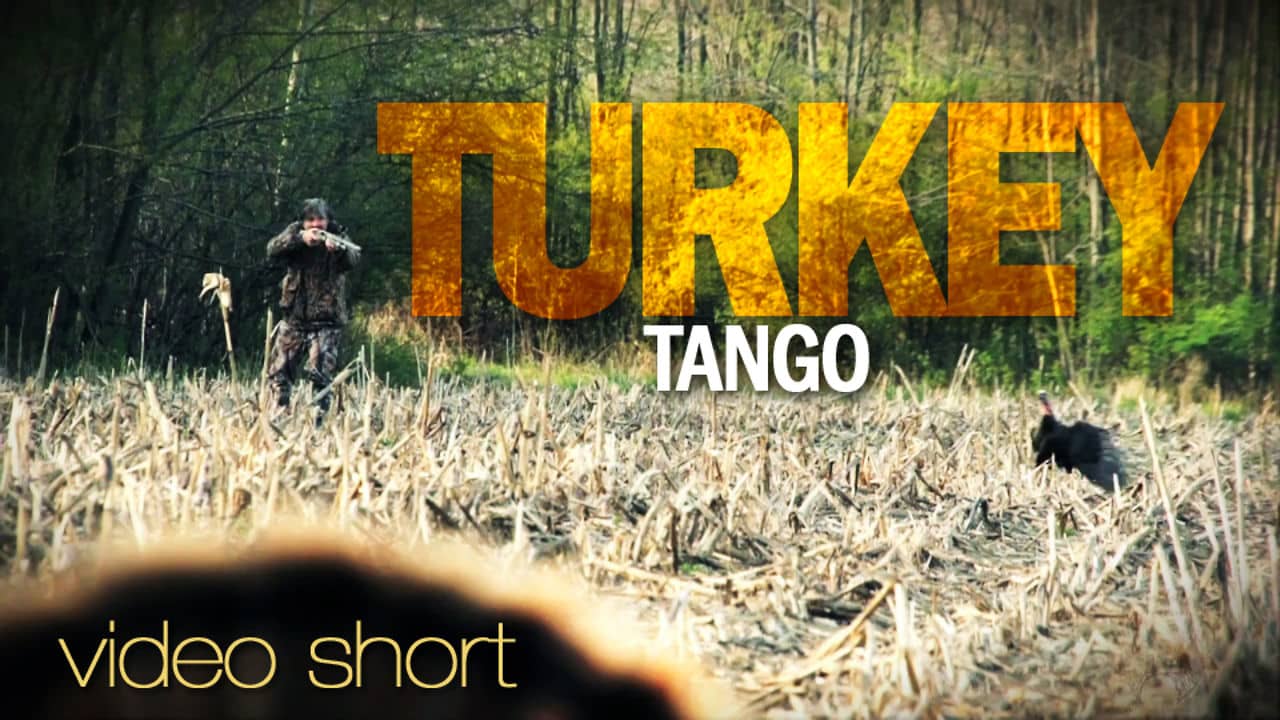 Turkey Tango on Vimeo