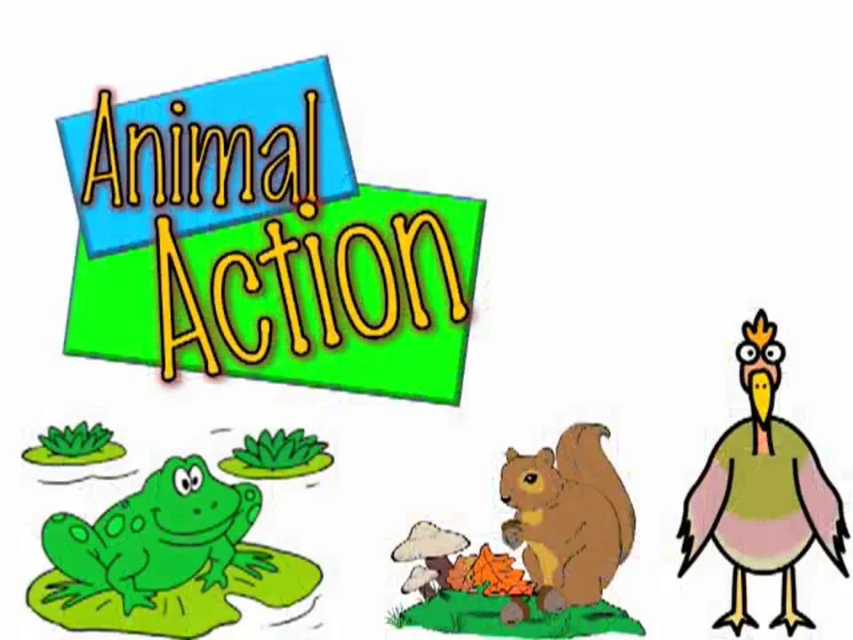ANIMAL ACTION