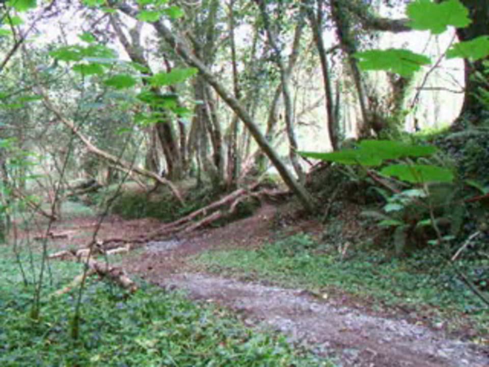 Killarney Cycling Club - NPS Track - Fossa, Killarney on Vimeo