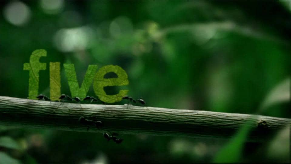 Five Idents on Vimeo