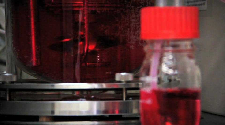 Amega Biotech Institutional Video on Vimeo