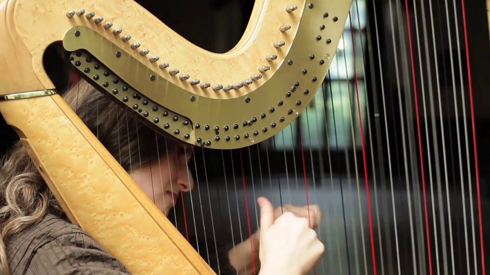 Bridget Harp working edit on Vimeo