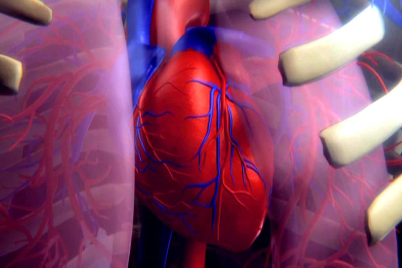 Blood Detectives on Vimeo