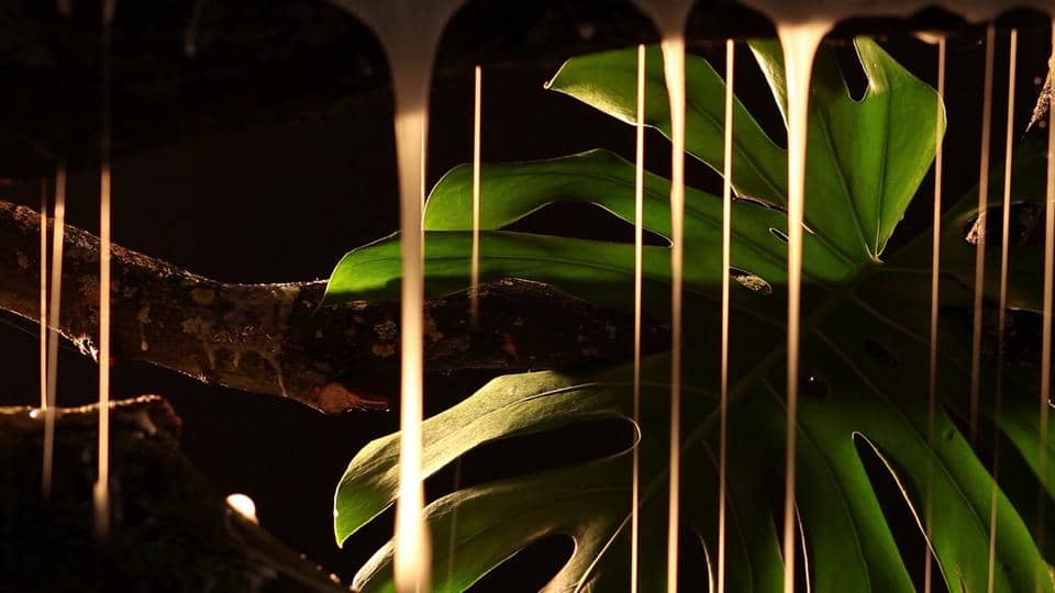 Dripping Epic Wide Shot on Vimeo