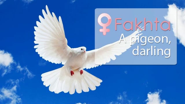 Muslim Names with Meaning on Vimeo