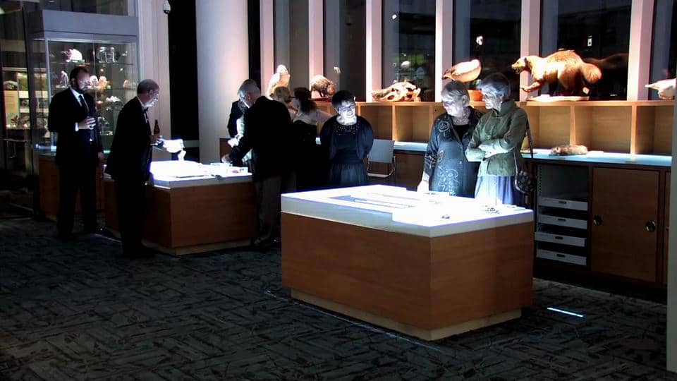 Nature Research Center Naturalist Tables on Vimeo