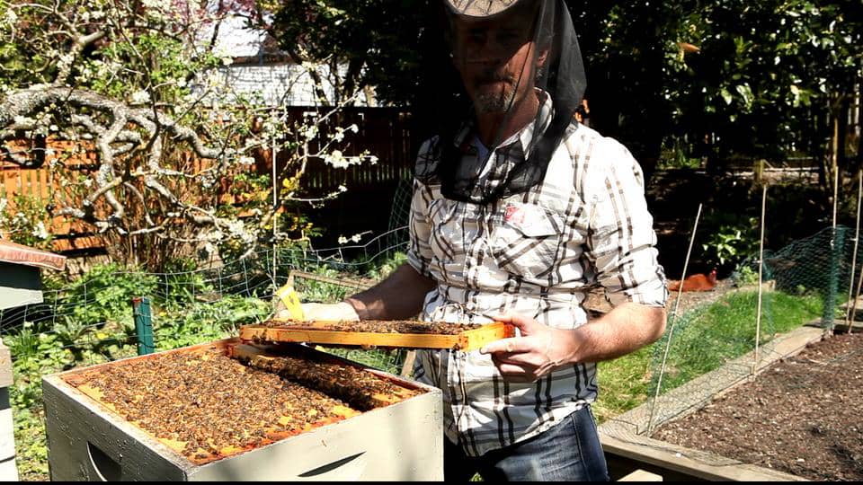 Braving Bee Hives with Ballard Bee Company on Vimeo