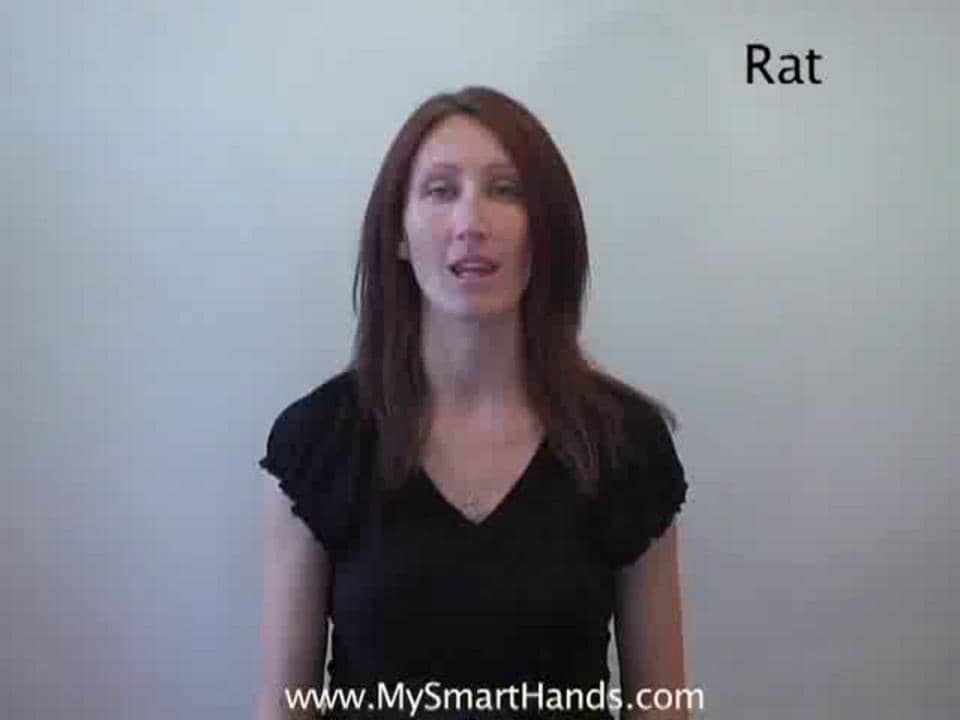 ASL sign for Rat on Vimeo
