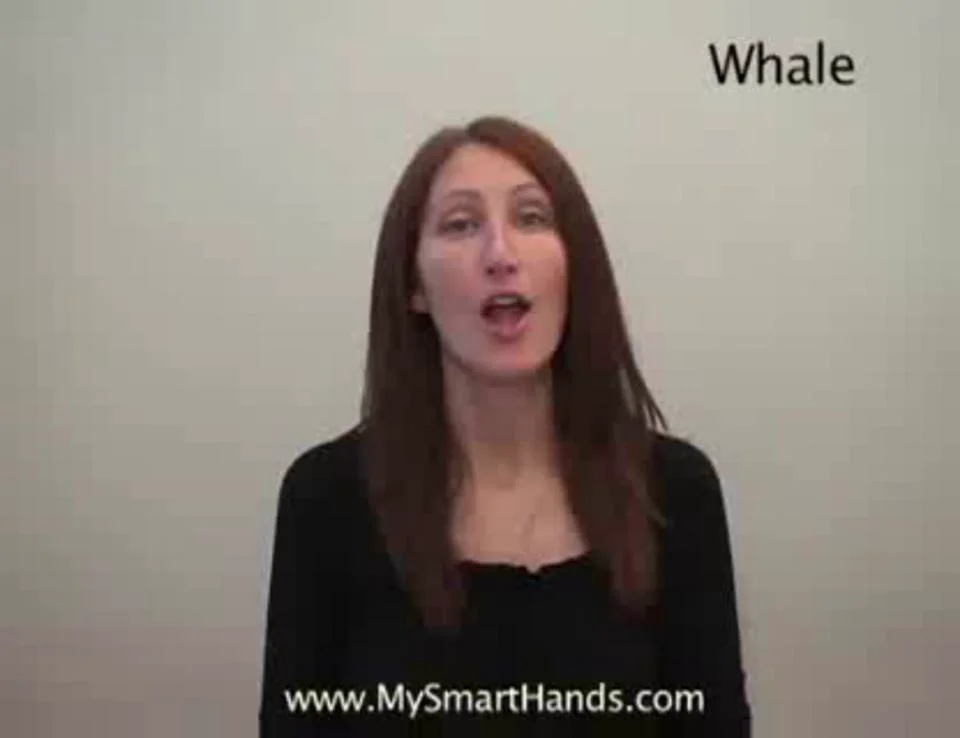 ASL sign for Whale on Vimeo
