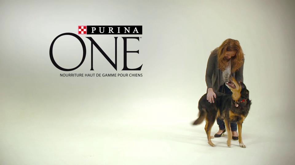 Pub 90 Purina One on Vimeo