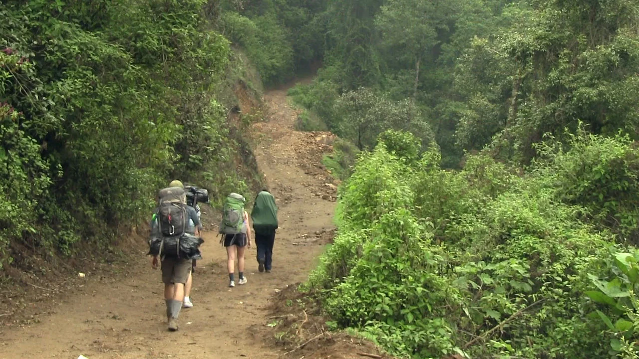 Why We Hike