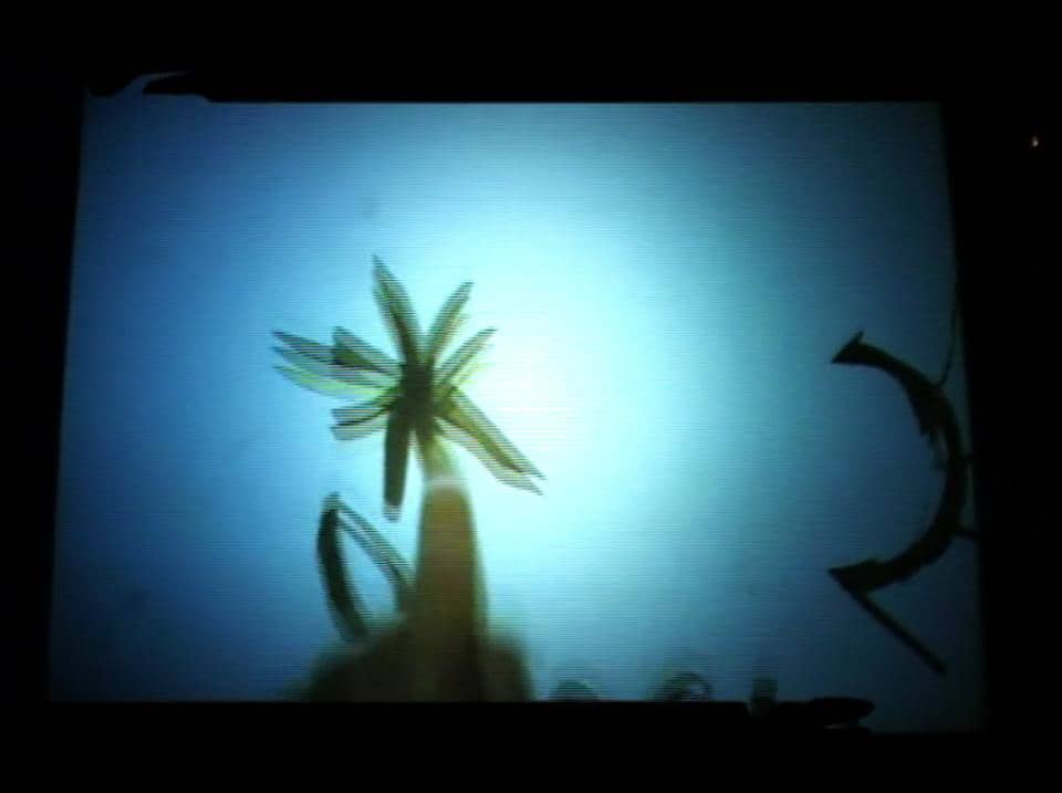 Drawn by Zachary Lieberman (DEAF07) on Vimeo