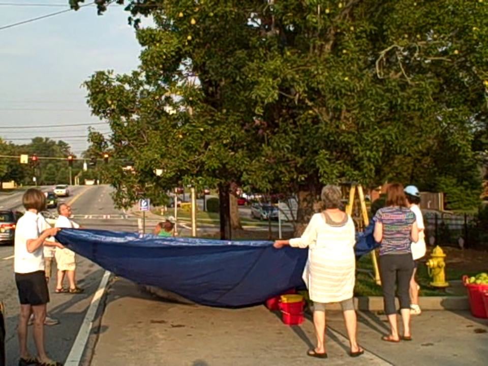 Operation Pear Tree 2012: The Harvest on Vimeo