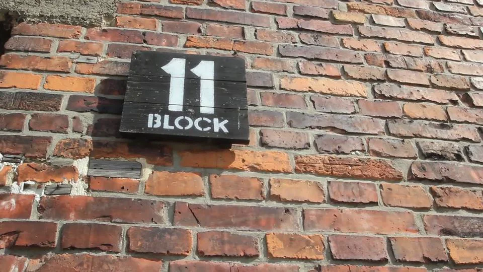 Block 11 on Vimeo