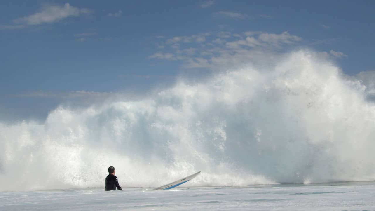 The Reef. Vocalise. on Vimeo