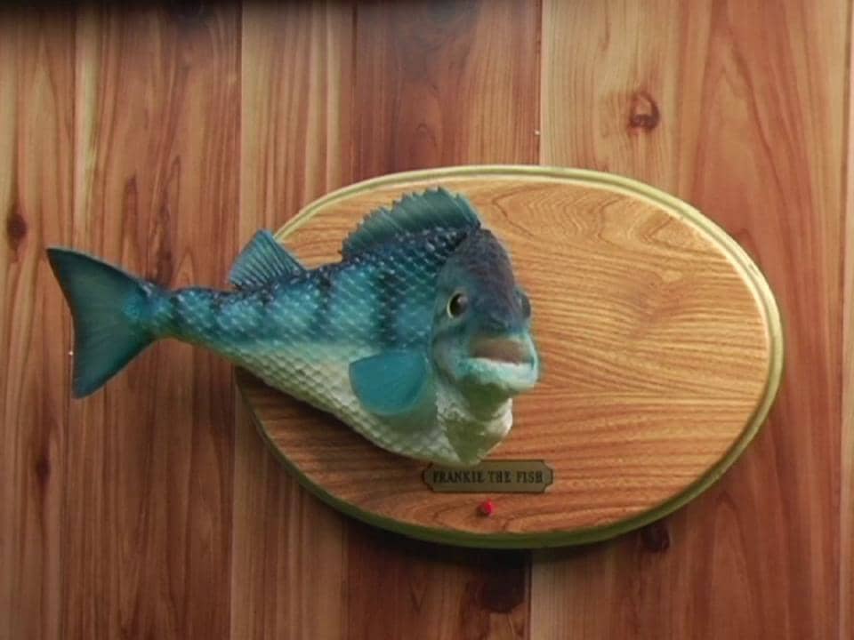 SINGING FISH: HIGHLIGHT VIDEO (3:00) on Vimeo