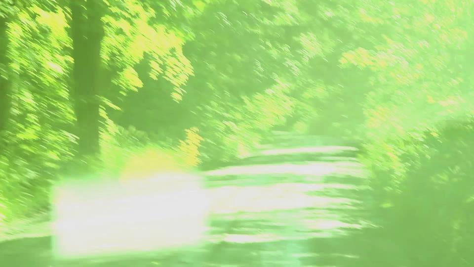 Our Working Forest on Vimeo