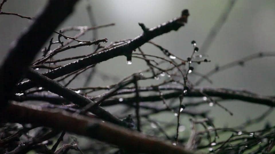 Rain on Vimeo