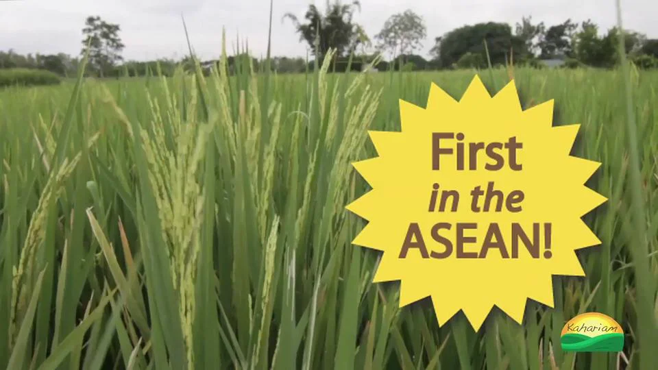 Kahariam Organic Farms (Philippines) on Vimeo