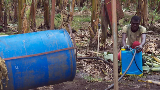 Retratos de Camerún - Jan Nimmo on Vimeo