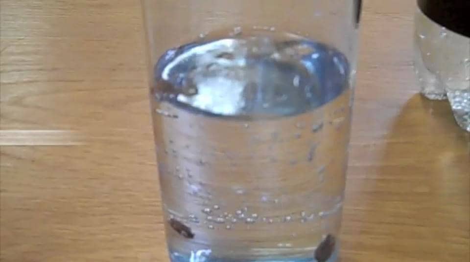 Dancing Raisins! Buoyancy Experiment on Vimeo