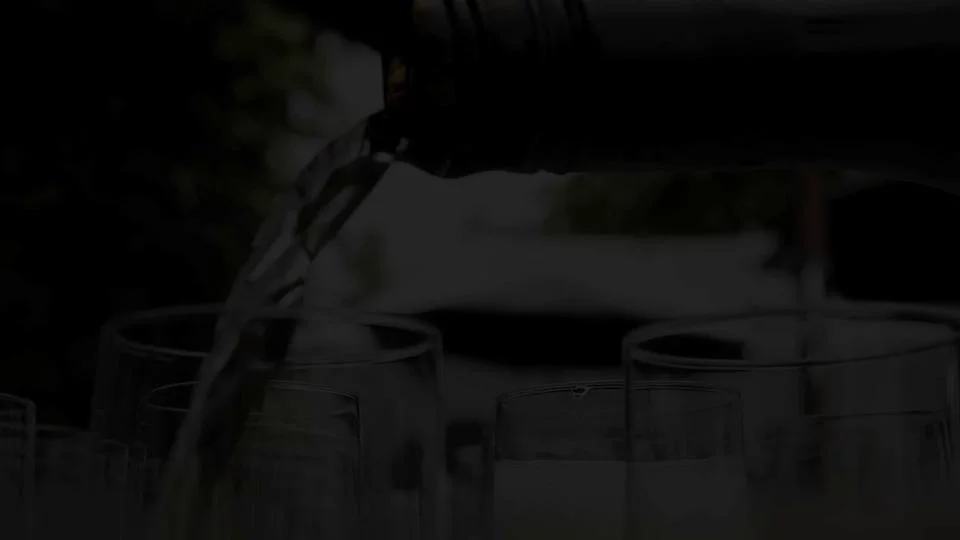 Unamic/HCN Customer Contact Haringparty 2012 on Vimeo