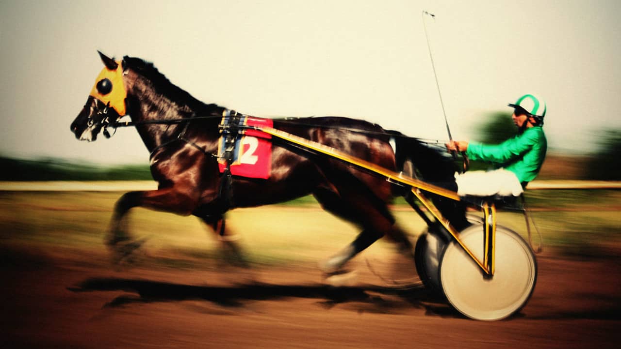 The Horses - Backstage :: Episode 4 :: Racing Horses on Vimeo