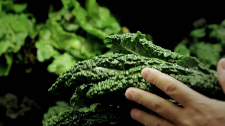 Cooking with Kale on Vimeo