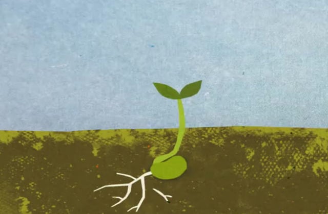 Sprout on Vimeo