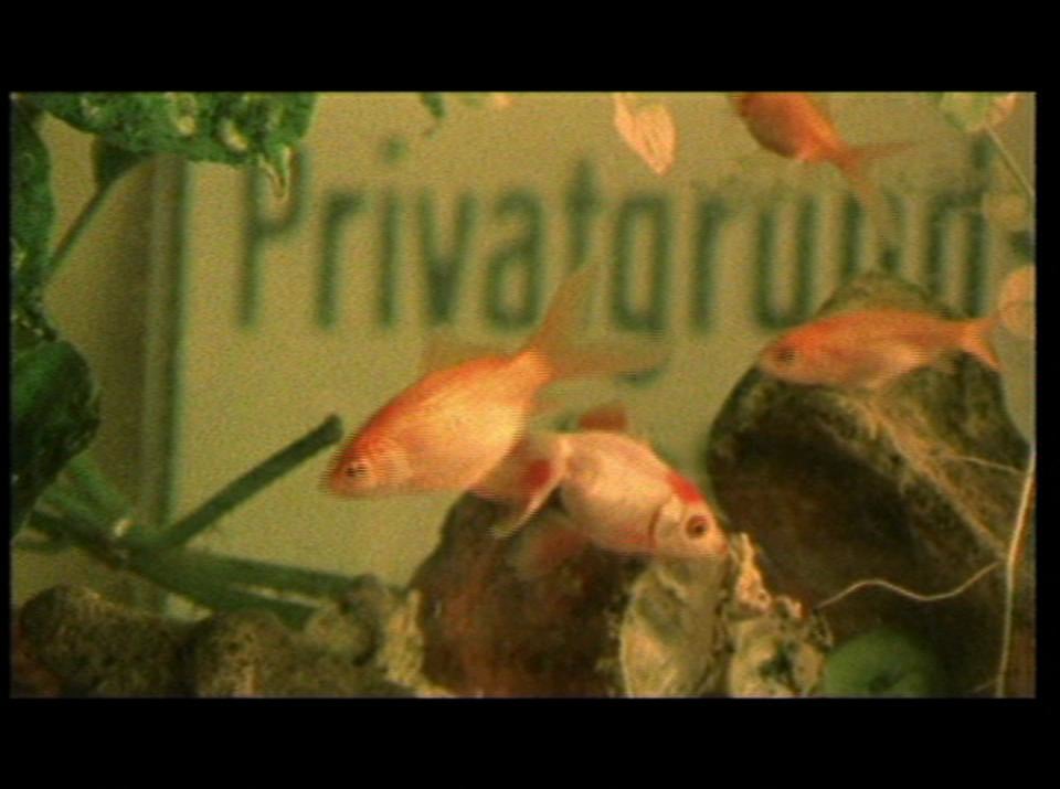 goldfish - short film on Vimeo