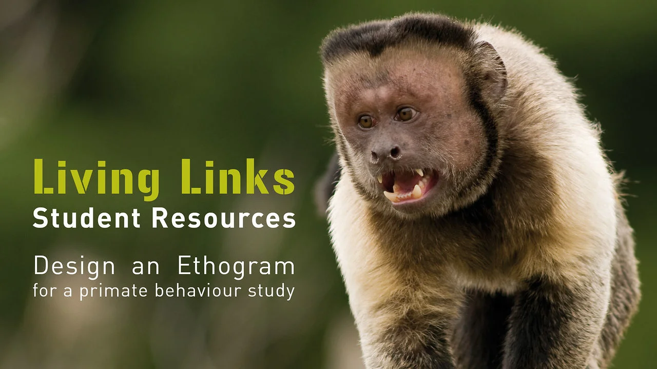 Student Resource - Design an Ethogram for a Primate Behaviour Study