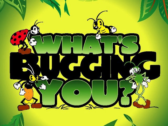 What's Bugging You? Elementary Series on Vimeo