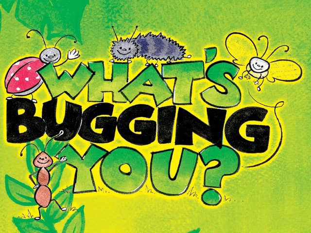 What's Bugging You? Preschool Series on Vimeo