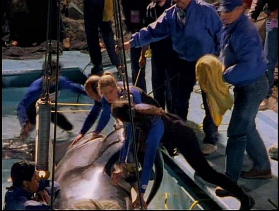 The Free Willy Story: Keiko's Journey Home on Vimeo