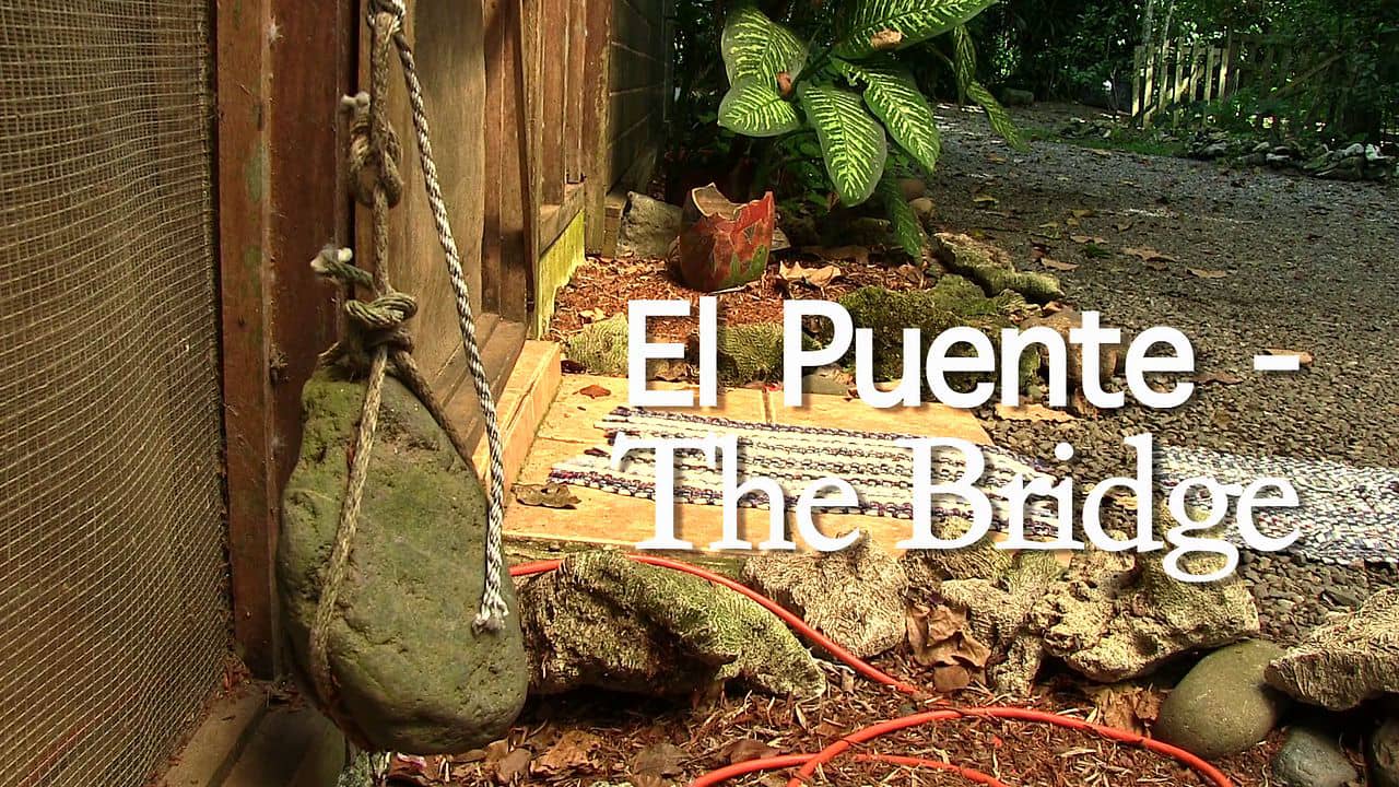 El Puente - The Bridge on Vimeo
