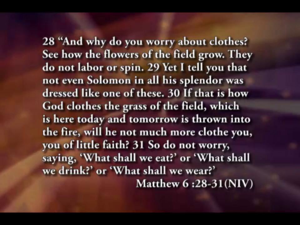 Wait To Worry on Vimeo