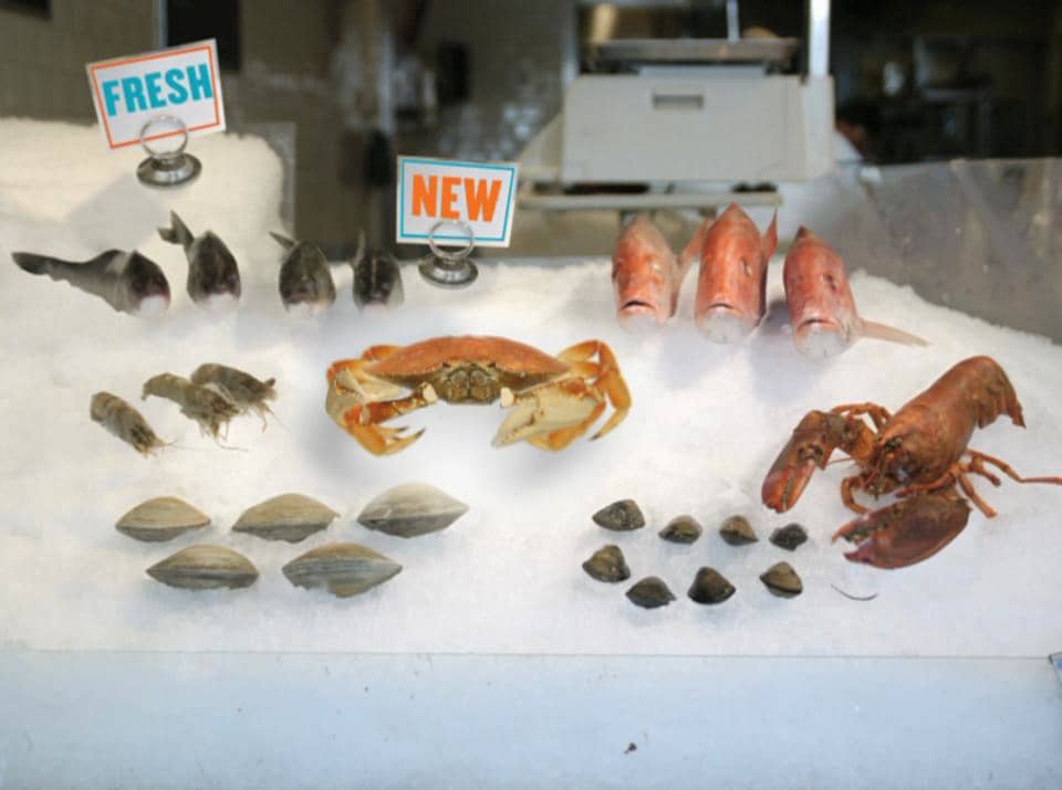 Spongebob Fresh and New on Vimeo