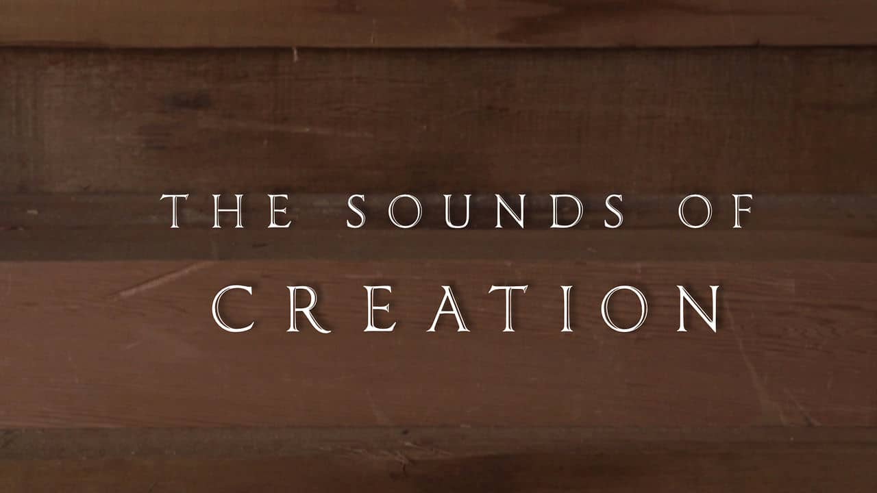 The Sounds of Creation on Vimeo