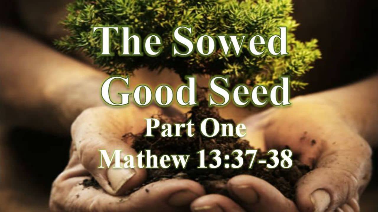 The Sowed Good Seed | Part One on Vimeo