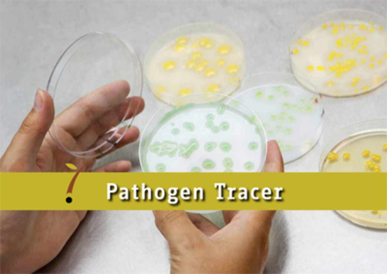 Pathogen Tracer (English) on Vimeo