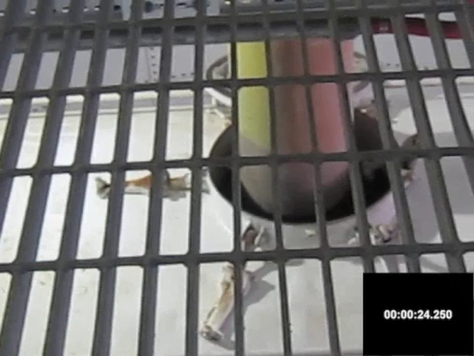 CRU Logistics - Truck Loading on Vimeo