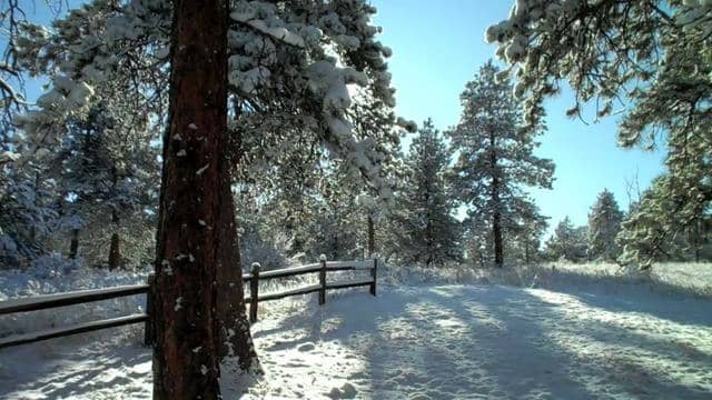 Evergreen (CO) Snow on Vimeo