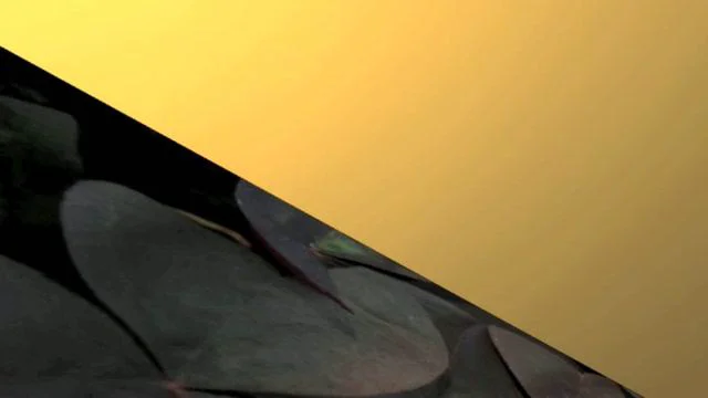 Salon Contra with Jenn Figg and Jeffry Cudlin on Vimeo